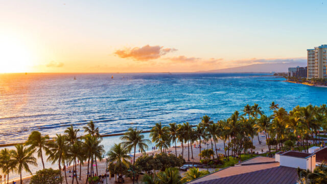 ホノルルのヒルトンリゾート完全ガイド！ | Aloha Honolulu アロハホノルル